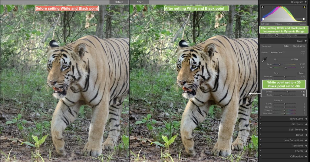 How I reduced my image post processing time by 300% , and you can too