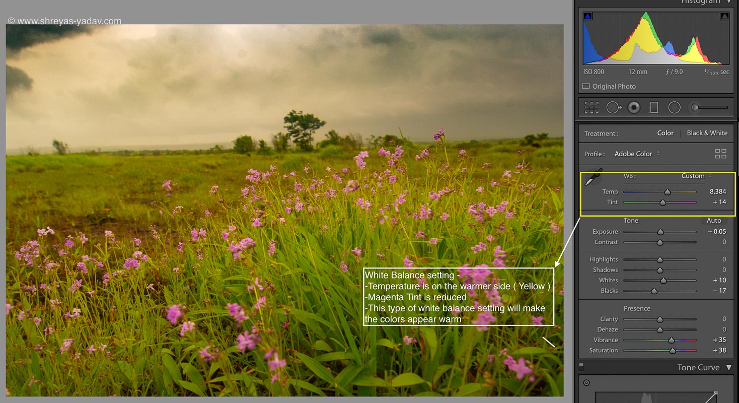 The Seven-step strategy to get beautiful colors in Adobe Lightroom