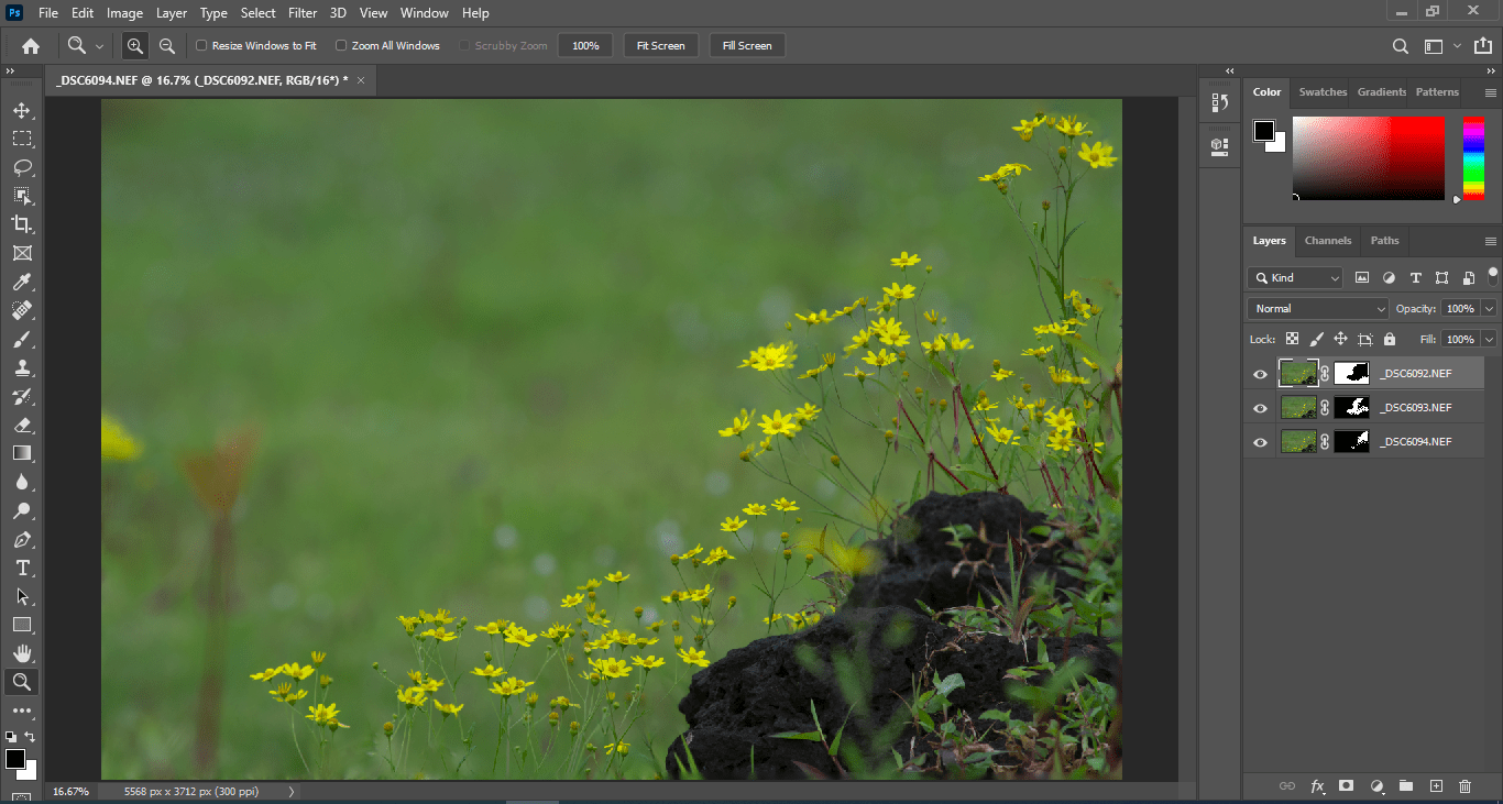 How to Create Focus Stacked Images using Adobe Photoshop - A Beginners ...