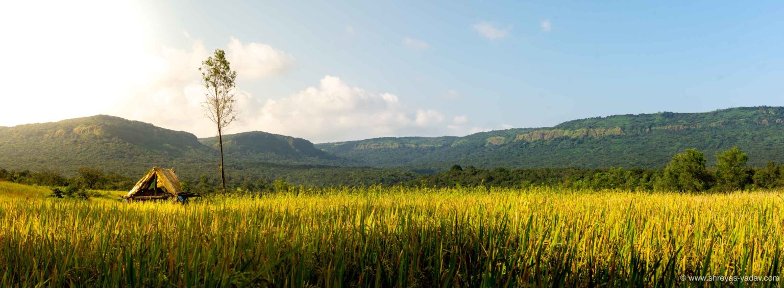 A step-by-step guide to creating Beautiful Panorama using Adobe Lightroom