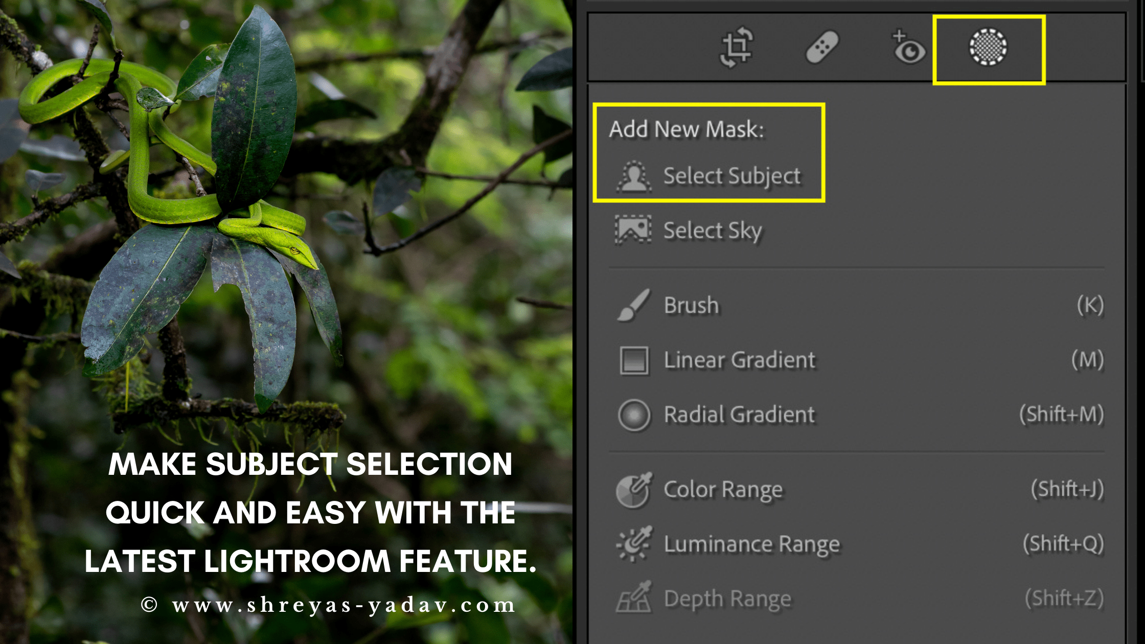 Make subject selection quick and easy with the Latest Lightroom Feature ...
