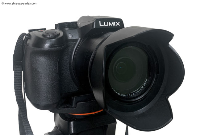 Best Bridge Camera for Wildlife Photography: Lumix FZ300