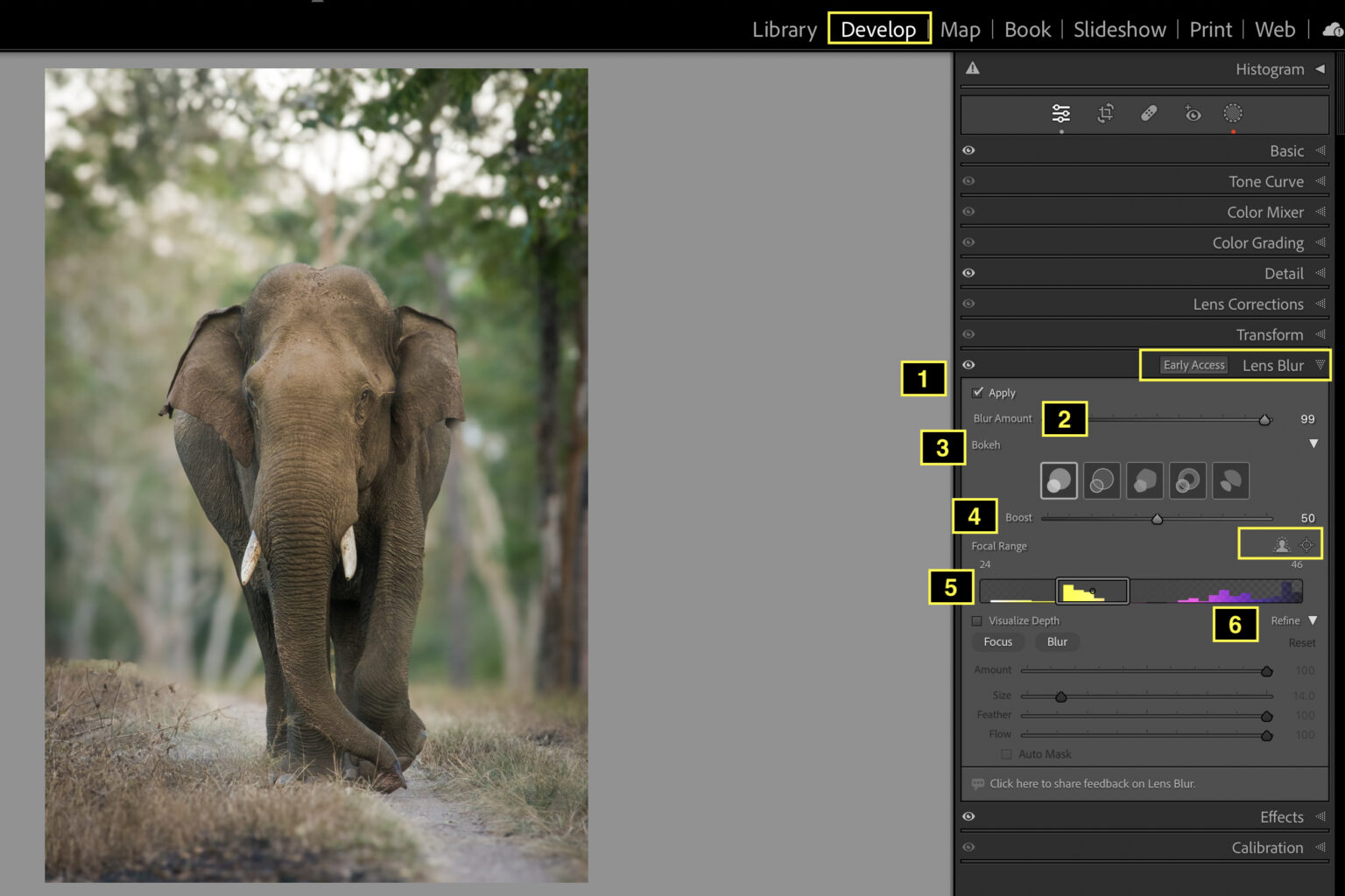 Lens Blur in Adobe Lightroom: A Step-By-Step Guide