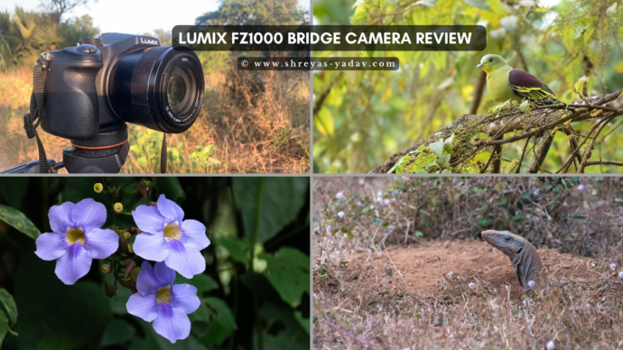 Lumix FZ1000 Bridge Camera Review